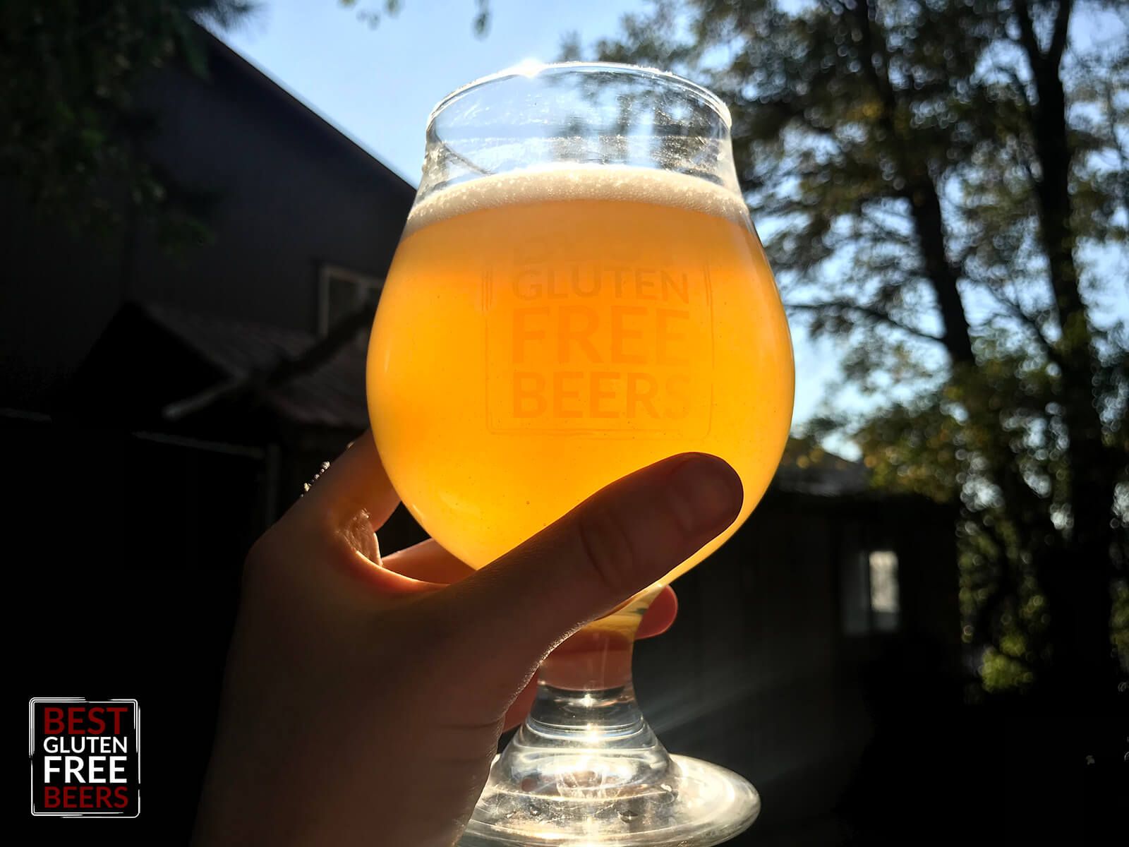 Moonshrimp Brewing Blood Orange Hazy IPA - Best Gluten Free Beers